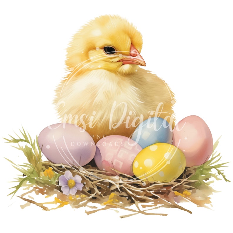 Easter Chick Clipart High-quality Transparent PNG Watercolor ...