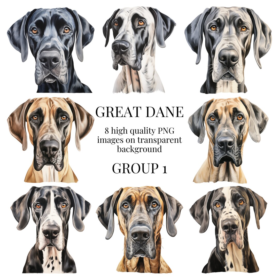 Great Dane Clipart | High-quality Transparent PNG | Watercolor ...