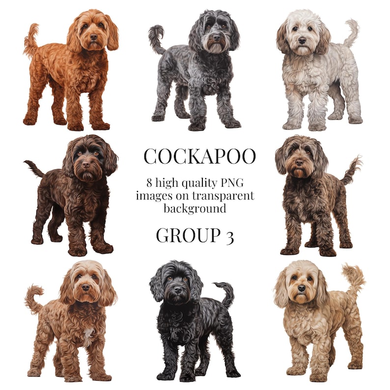 Cockapoo Clipart | High-quality Transparent PNG | Watercolor Dog ...