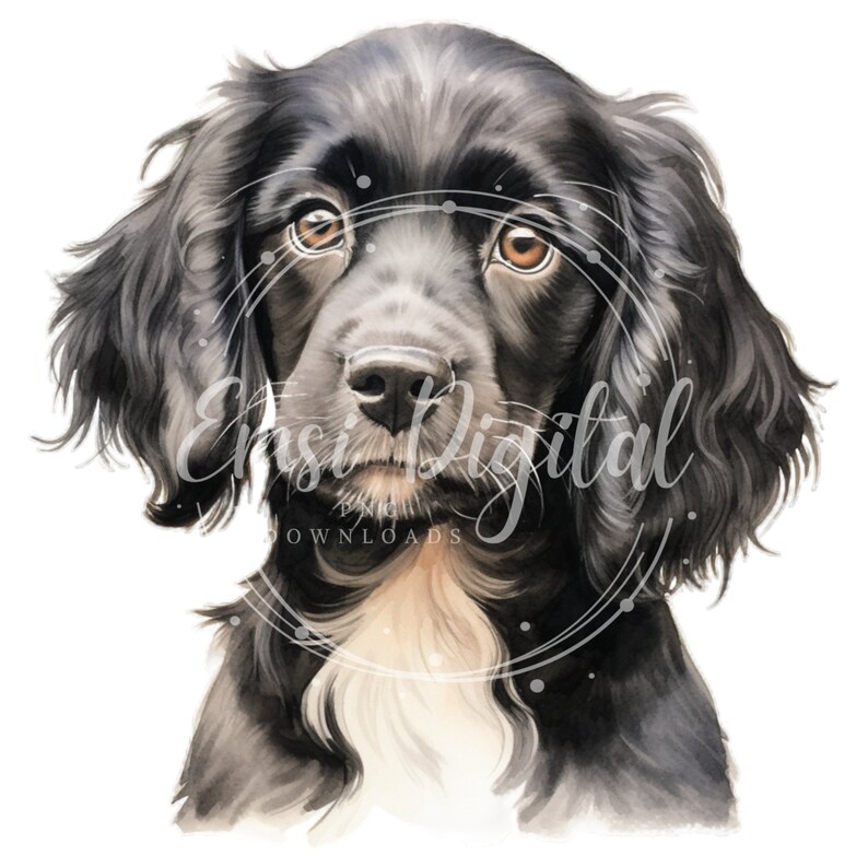 Cocker Spaniel Puppy Clipart | High-quality Transparent PNG ...
