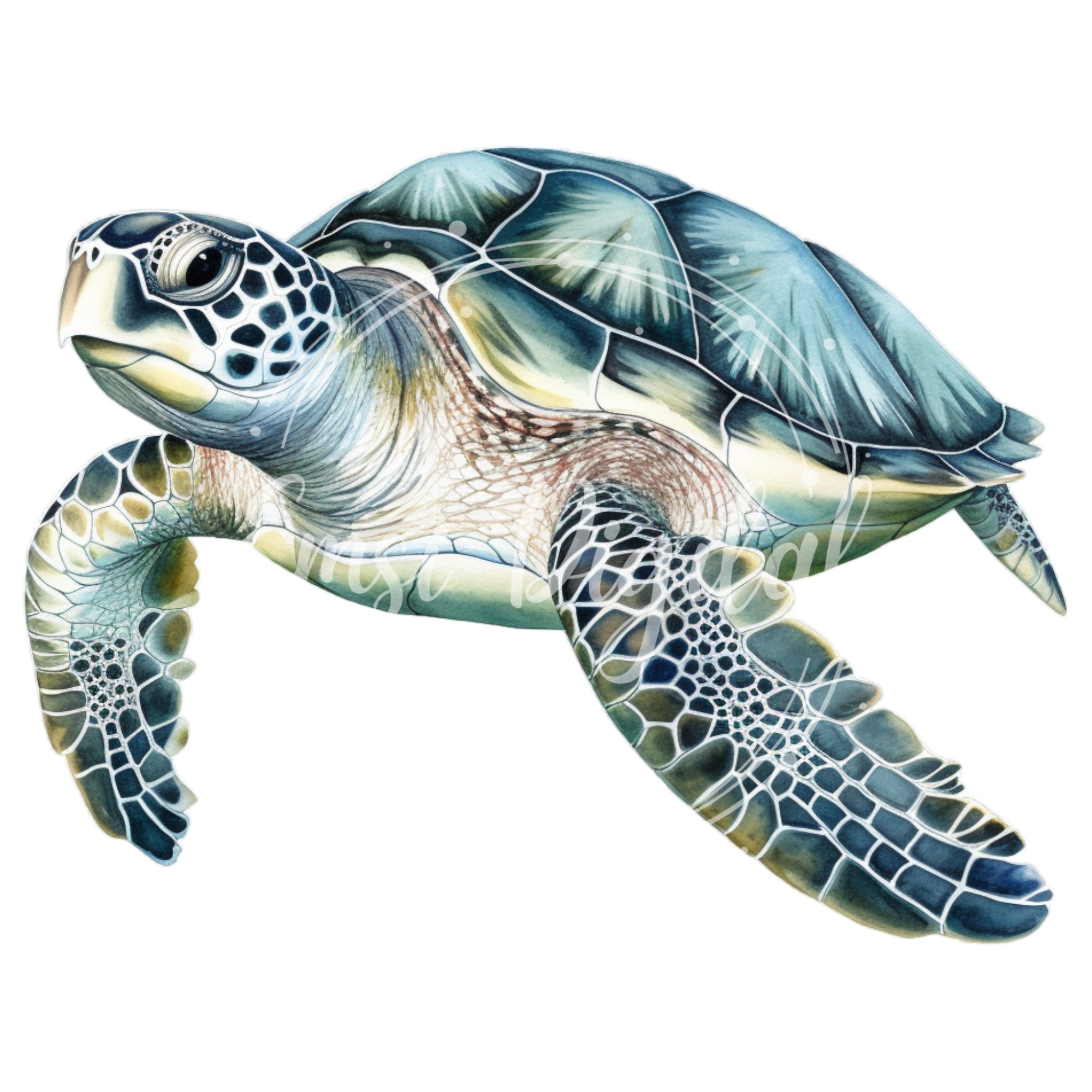 Sea Turtle Clipart | High-quality Transparent PNG | Watercolor Sealife ...