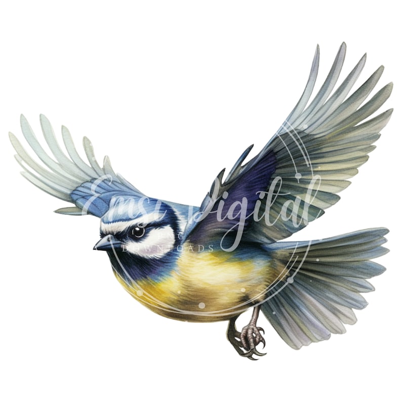 Blue-tit Clipart | High-quality Transparent PNG | Watercolor ...