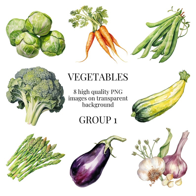 Vegetable Clipart Transparent PNG High-quality Watercolor - Etsy