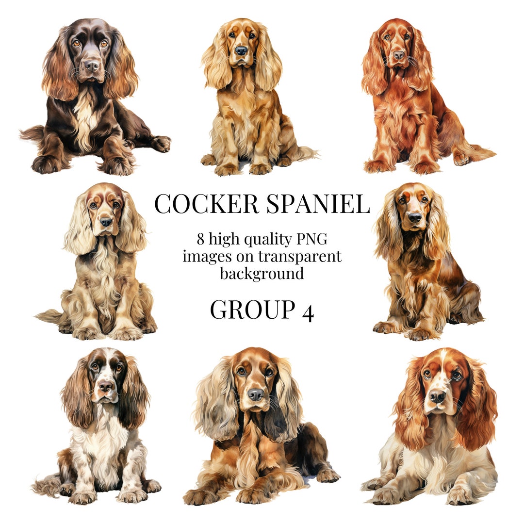 Cocker Spaniel Clipart High-quality Transparent PNG - Etsy