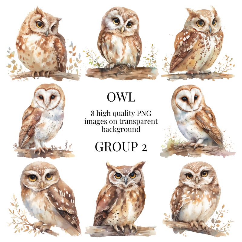 Wise Owl Clip Art - Etsy