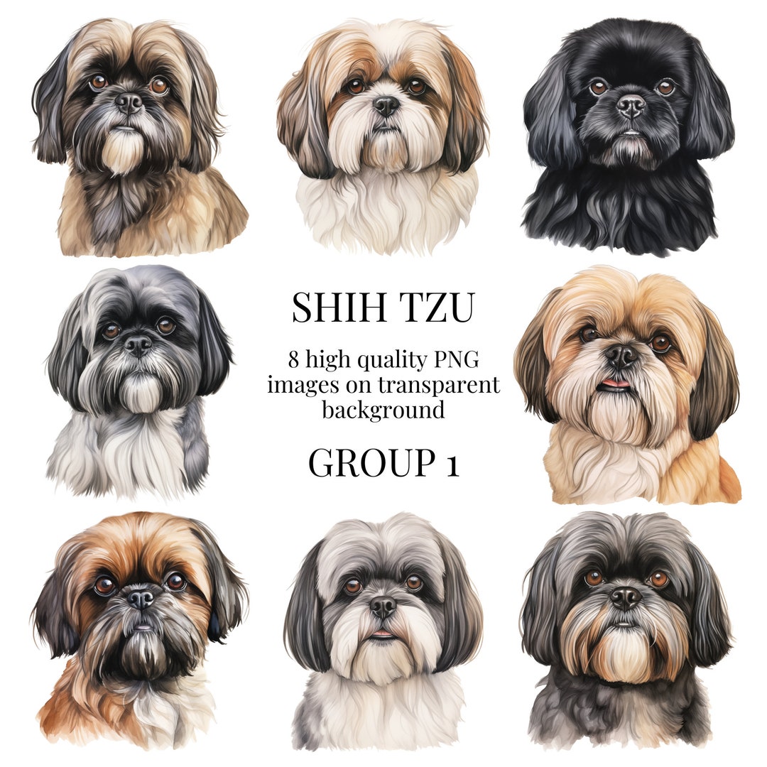 Shih Tzu Clipart | High-quality Transparent PNG | Watercolor Dog ...