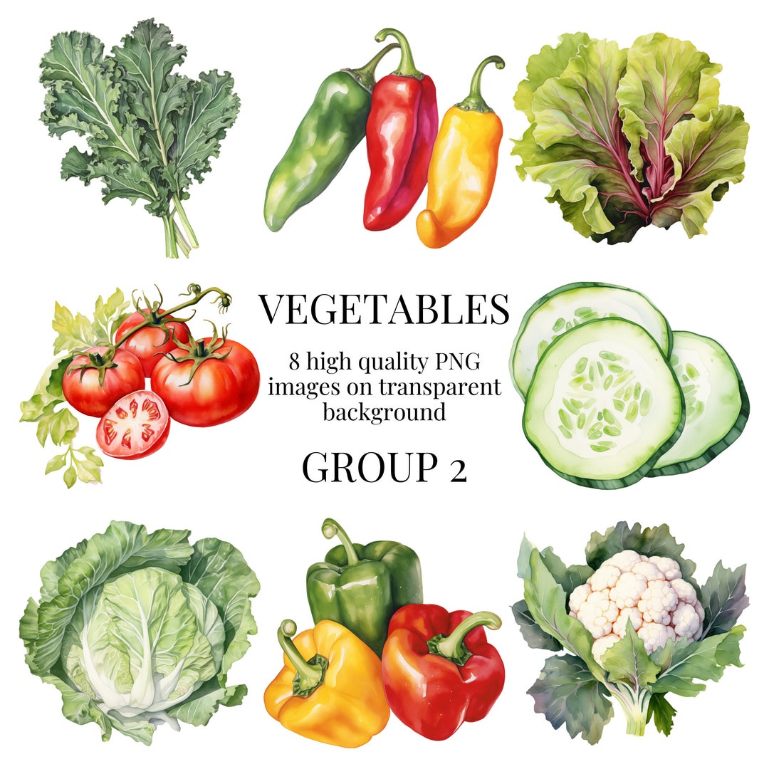 Vegetable Clipart | Transparent PNG | High-quality Watercolor ...