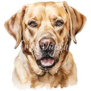 Yellow Labrador Clipart High-quality Transparent PNG Watercolor Dog ...