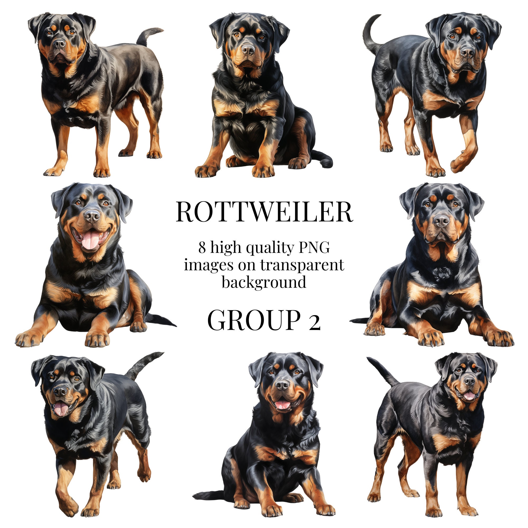 Rottweiler Clipart High-quality Transparent PNG Watercolor Pet Dog ...