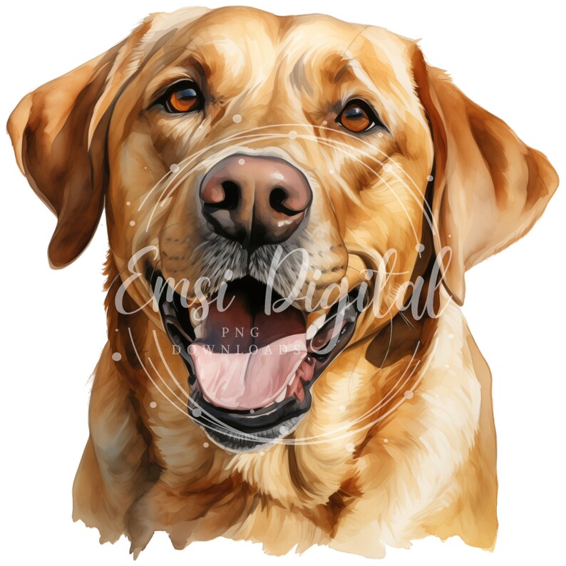 Yellow Labrador Clipart High-quality Transparent PNG Watercolor Dog ...
