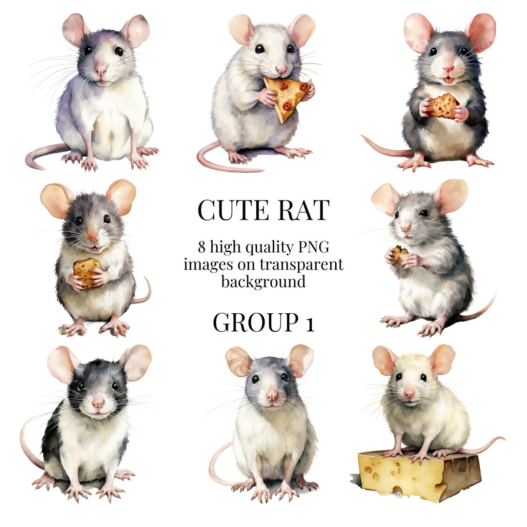 Cute Rat Clipart High-quality Transparent PNG Watercolor - Etsy