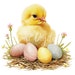 Easter Chick Clipart | High-quality Transparent PNG | Watercolor ...