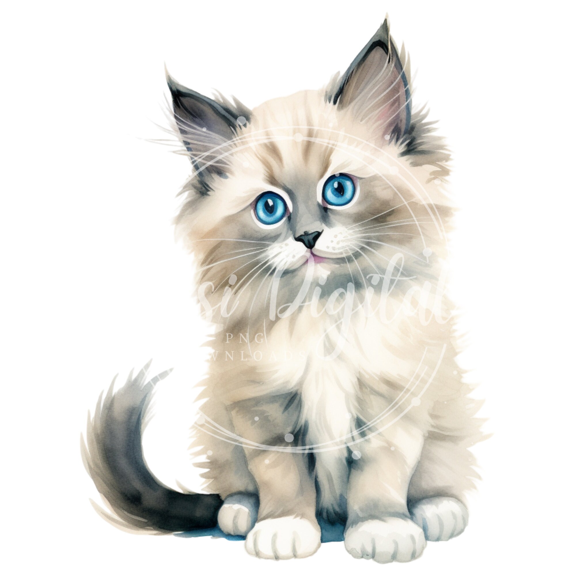 Kitten Clipart High-quality Transparent PNG Watercolor Cat - Etsy