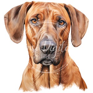 Rhodesian Ridgeback Clipart | High-quality Transparent PNG | Watercolor ...