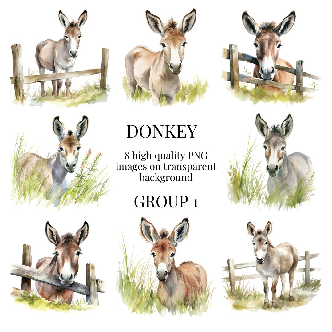 Donkey Clipart | High-quality Transparent PNG | Watercolor Farm Animal ...
