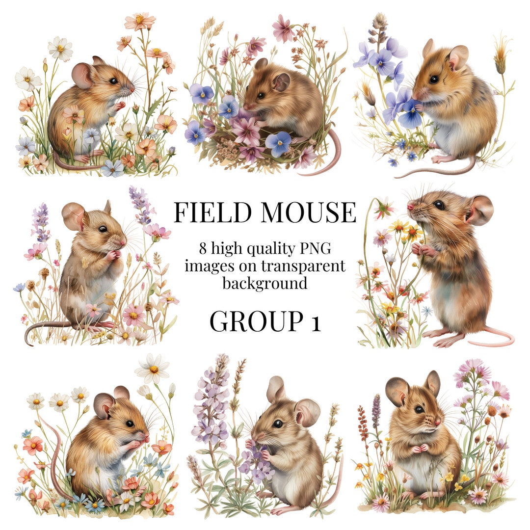Floral Field Mouse Clipart | High-quality Transparent PNG | Watercolor ...
