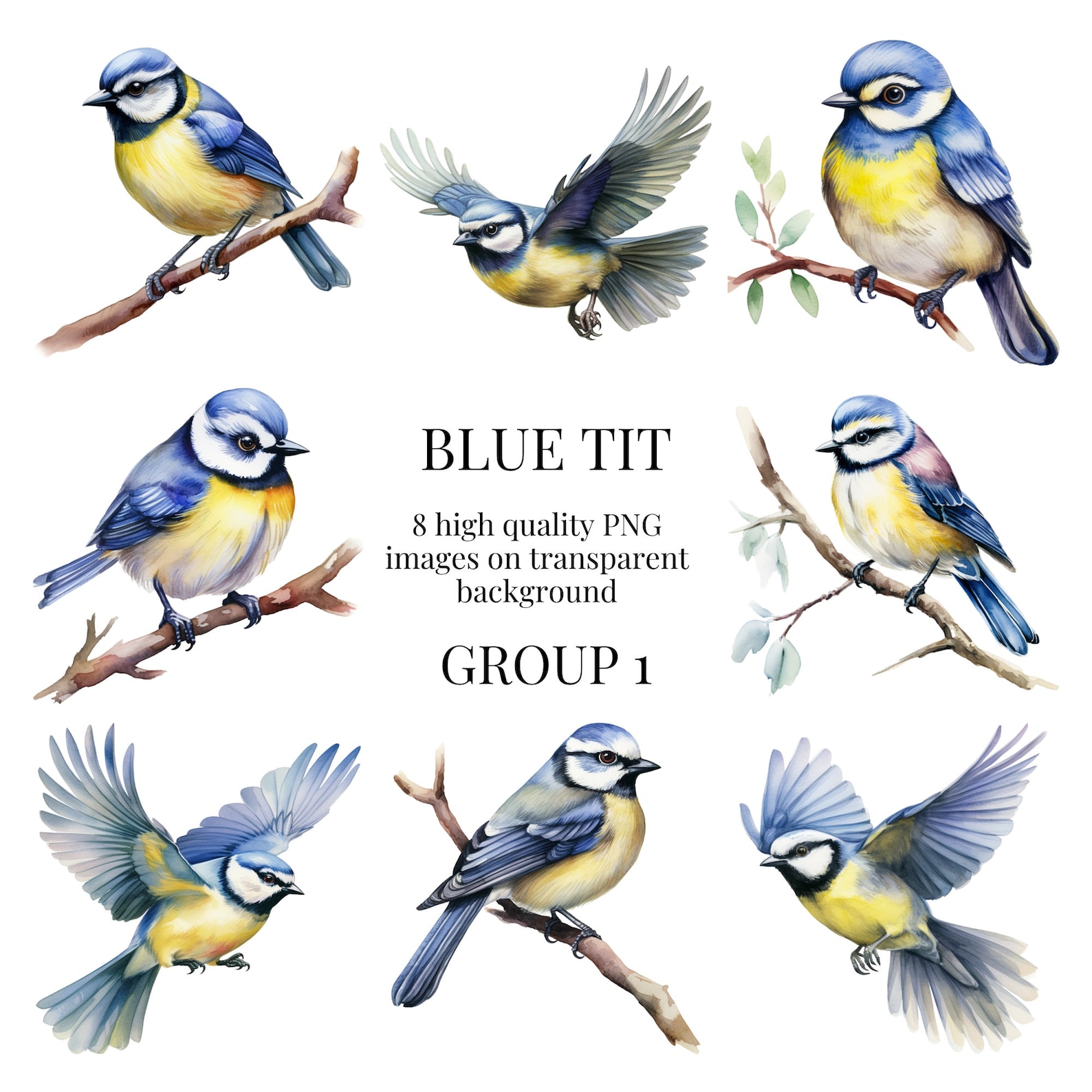 Blue-tit Clipart | High-quality Transparent PNG | Watercolor ...