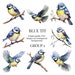 Blue-tit Clipart | High-quality Transparent PNG | Watercolor ...