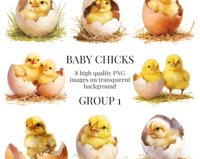 Cute Spring Chicks Clipart Bundle, Watercolor Clip Art Images, 20 High ...