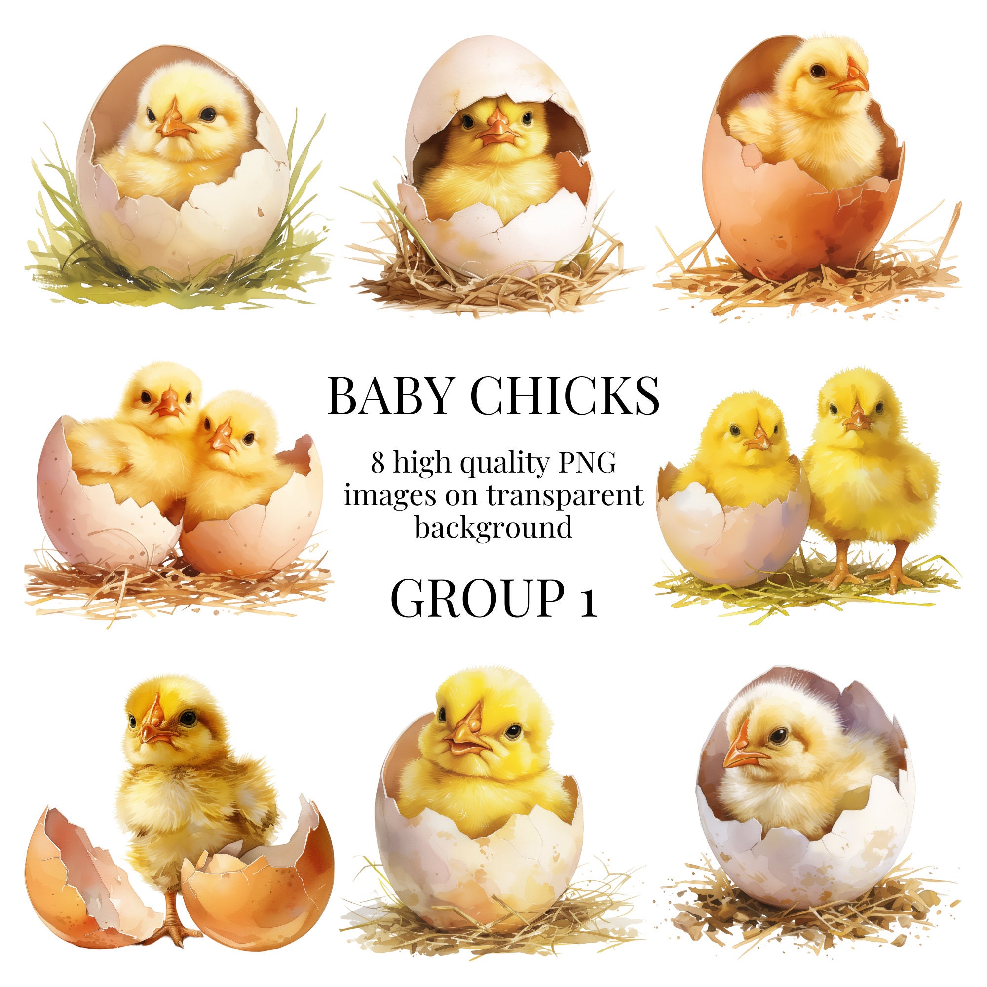 Baby Chick Clipart | High-quality Transparent PNG | Watercolor ...