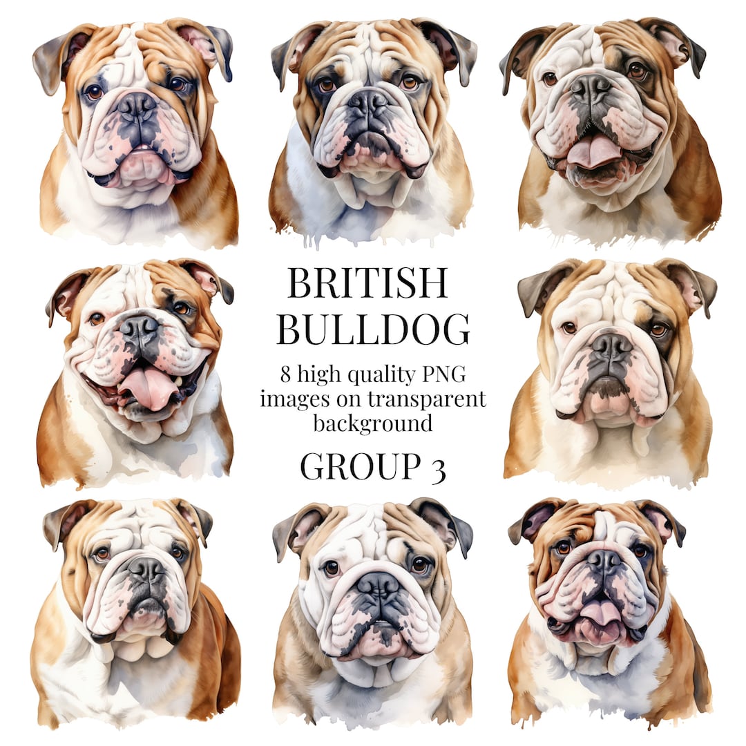 British Bulldog Clipart | High-quality Transparent PNG | Watercolor ...