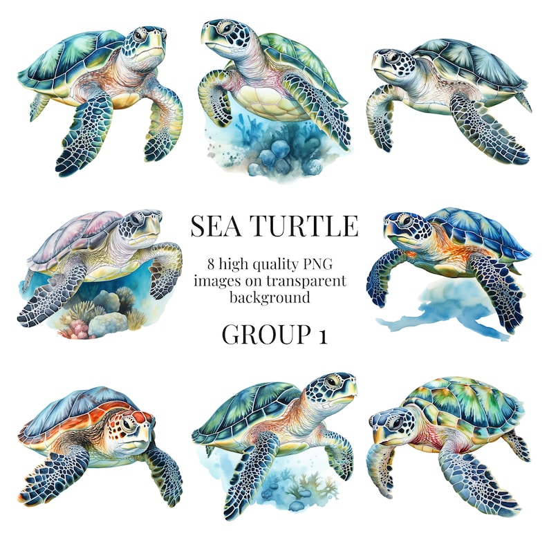 Sea Turtle Clipart | High-quality Transparent PNG | Watercolor Sealife ...