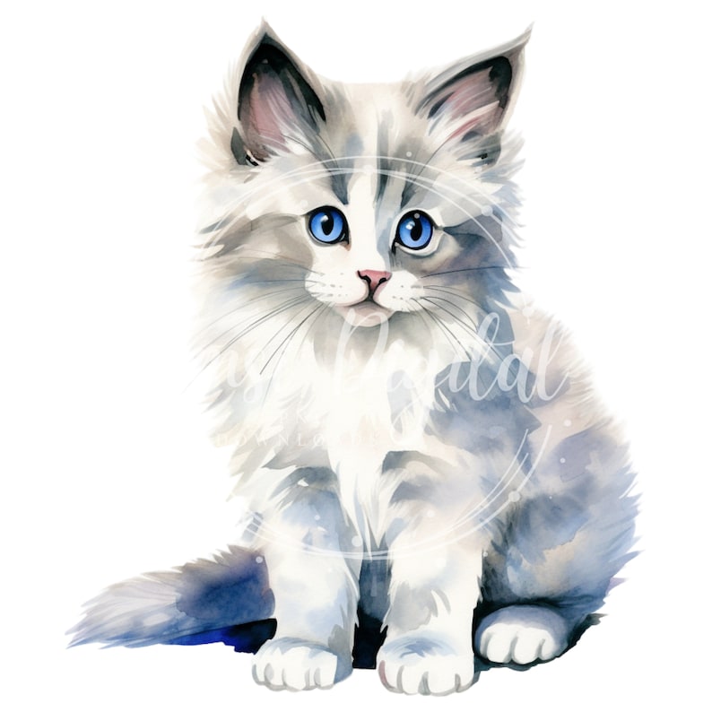 Kitten Clipart High-quality Transparent PNG Watercolor Cat - Etsy