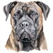 Cane Corso Clipart | High-quality Transparent PNG | Watercolor ...