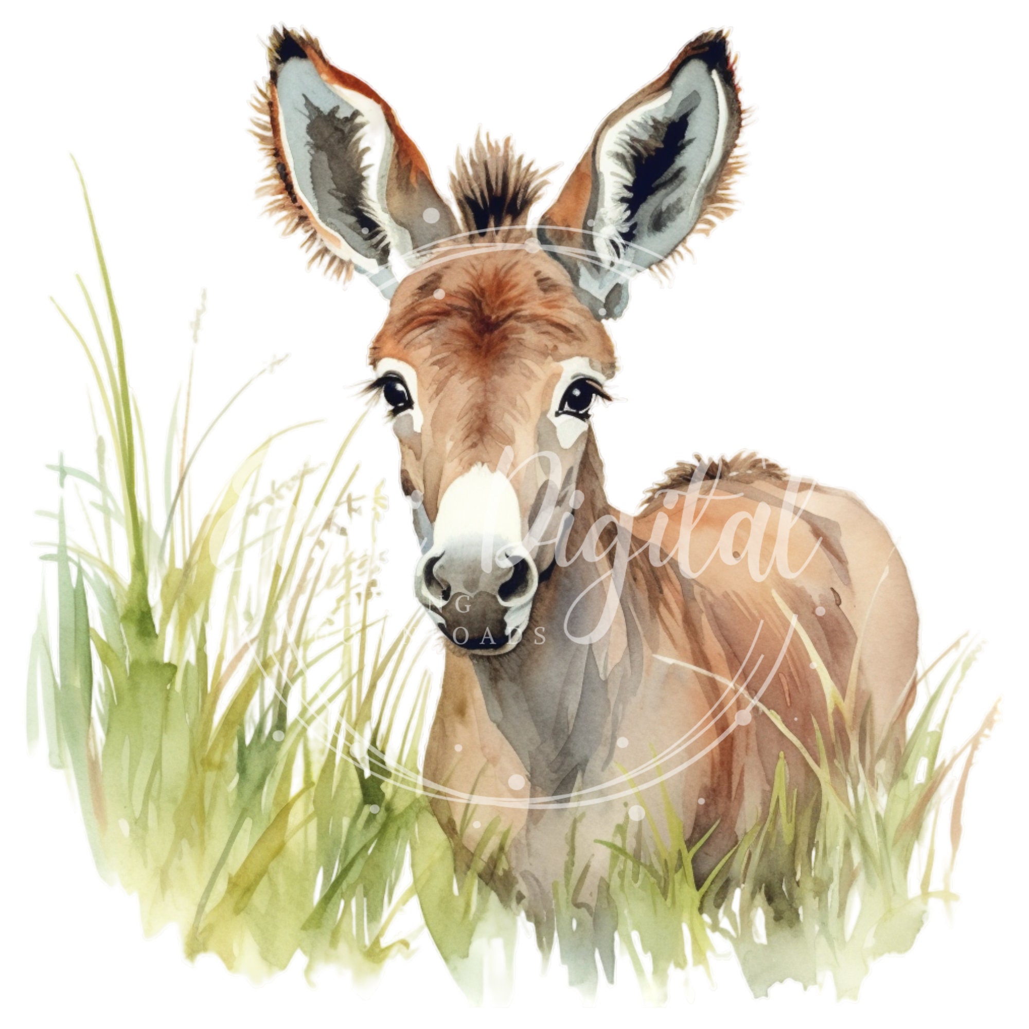 Donkey Clipart High-quality Transparent PNG Watercolor Farm Animal ...