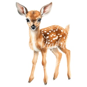 Fawn Clipart | High-quality Transparent PNG | Watercolor Deer ...