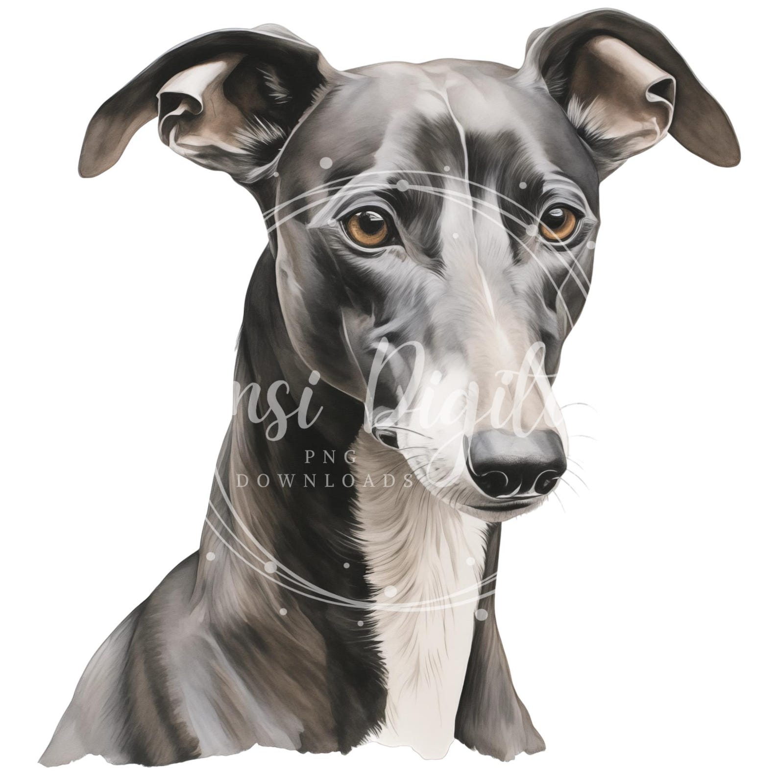 Whippet Dog Clipart | High-quality Transparent PNG | Watercolor ...