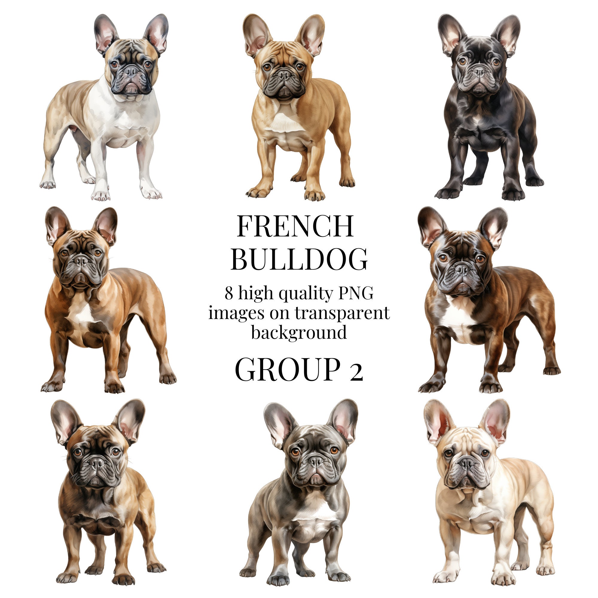 French Bulldog Clipart | High-quality Transparent PNG | Watercolor ...