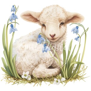 Spring Lamb Clipart | High-quality Transparent PNG | Watercolor Sheep ...