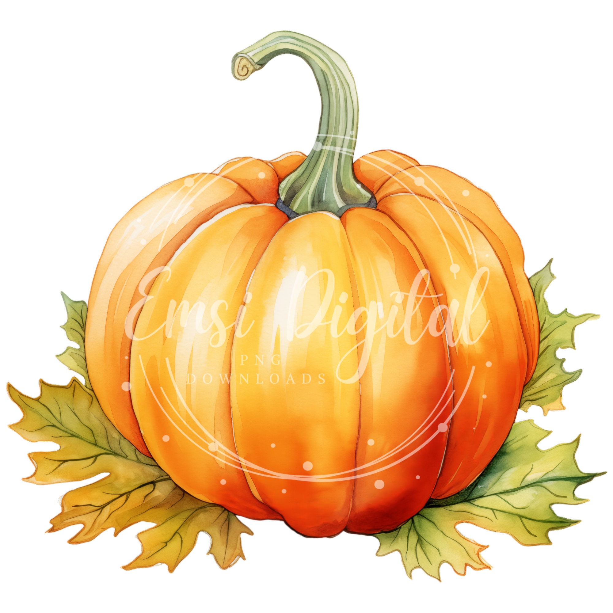 Vegetable Clipart | Transparent PNG | High-quality Watercolor ...