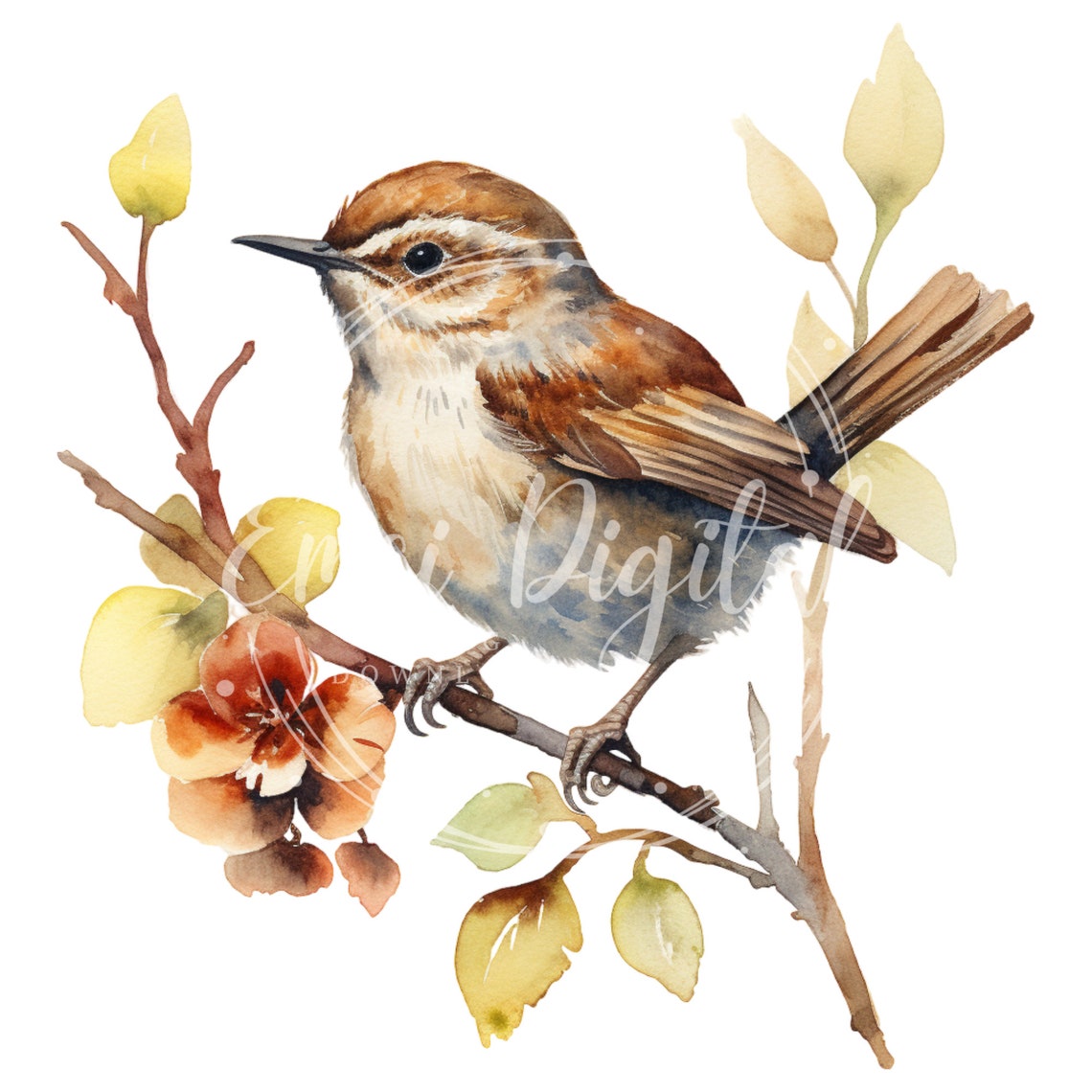 Wren Bird Clipart | High-quality Transparent PNG | Watercolor ...