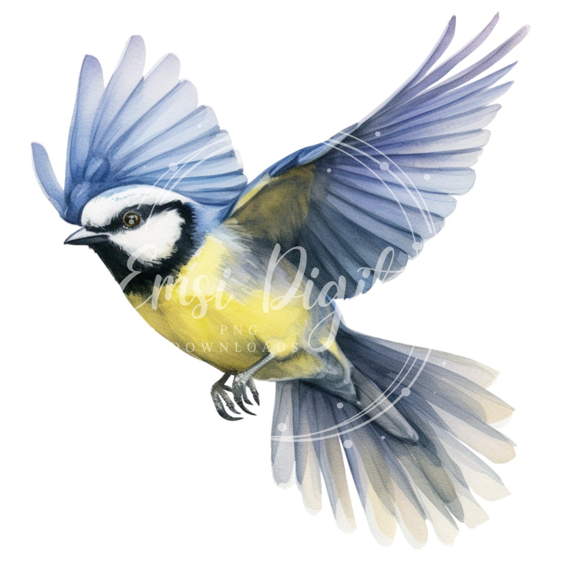 Blue-tit Clipart | High-quality Transparent PNG | Watercolor ...