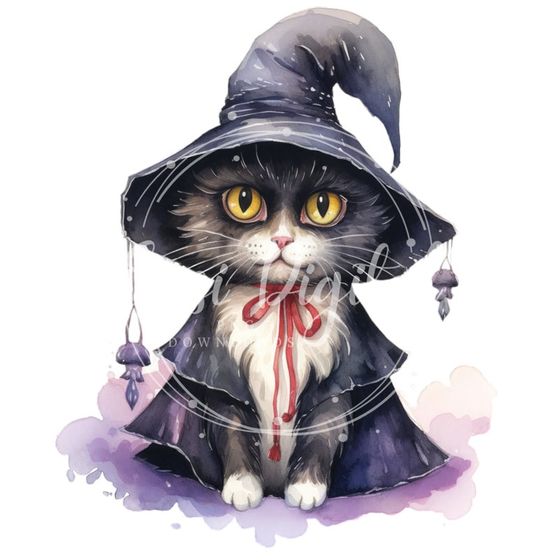 Halloween Witch Cat Clipart High-quality Transparent PNG - Etsy