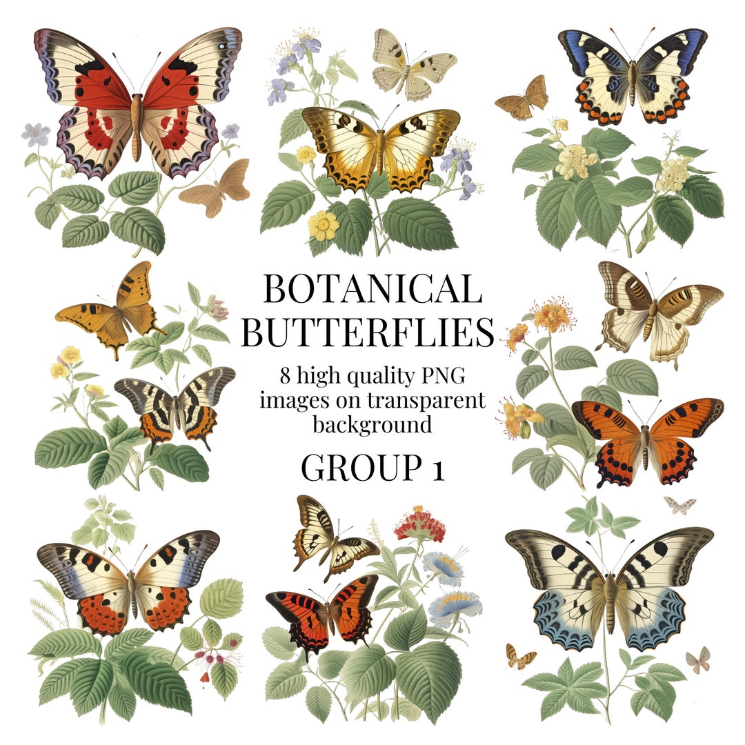 Botanical Butterflies Clipart | High-quality Transparent PNG ...