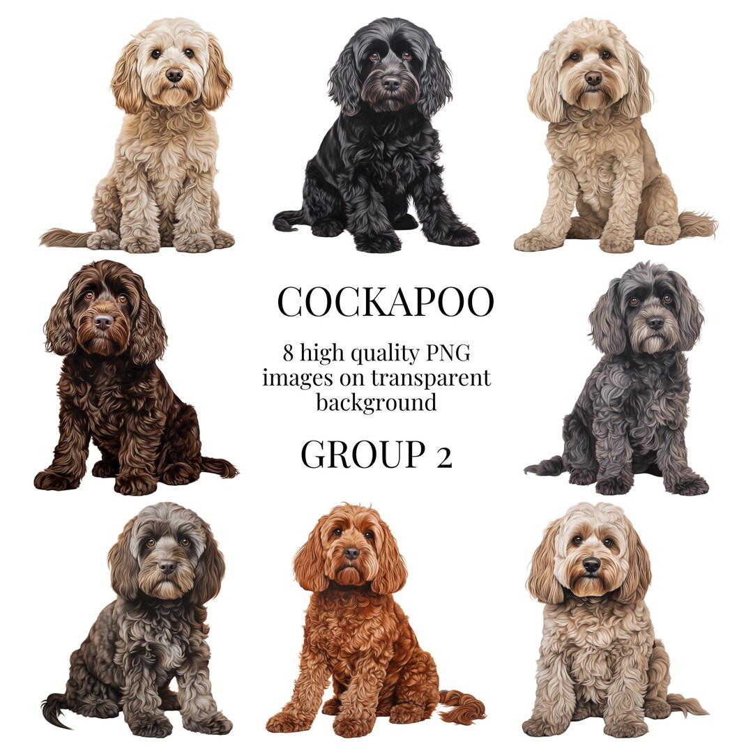 Cockapoo Clipart | High-quality Transparent PNG | Watercolor ...