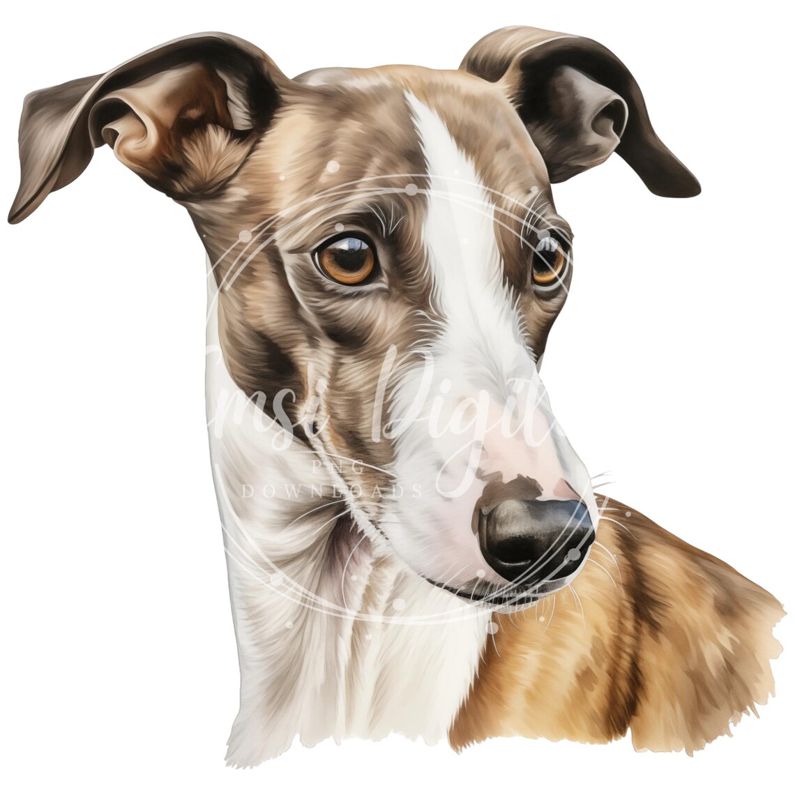 Whippet Dog Clipart | High-quality Transparent PNG | Watercolor ...