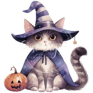 Halloween Witch Cat Clipart | High-quality Transparent PNG | Watercolor ...