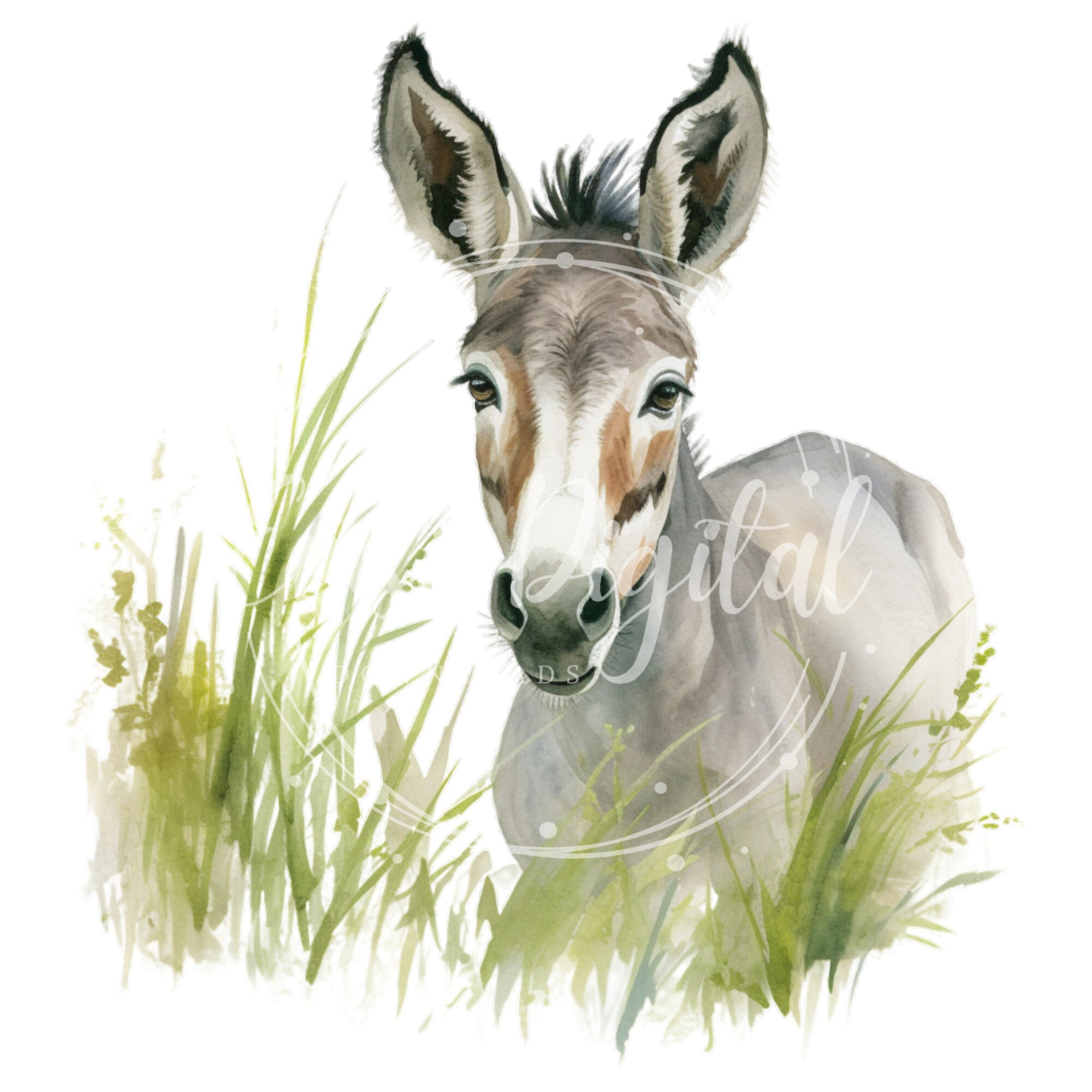 Donkey Clipart High-quality Transparent PNG Watercolor Farm Animal ...