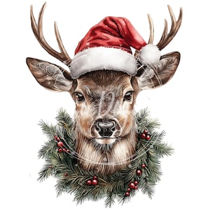 Christmas Woodland Animals Clipart | High-quality Transparent PNG ...