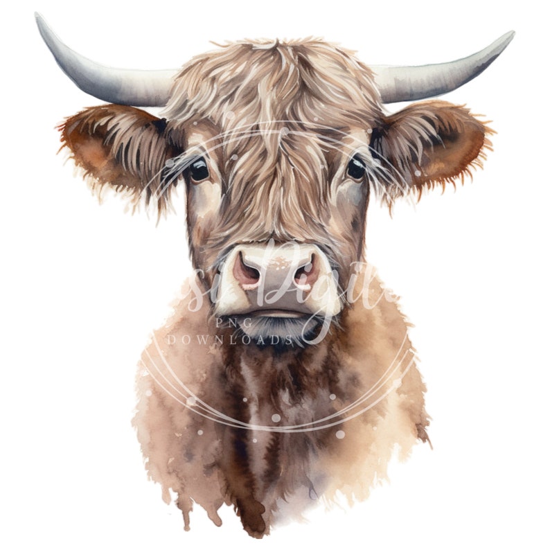 Highland Cattle Clipart High-quality Transparent PNG - Etsy