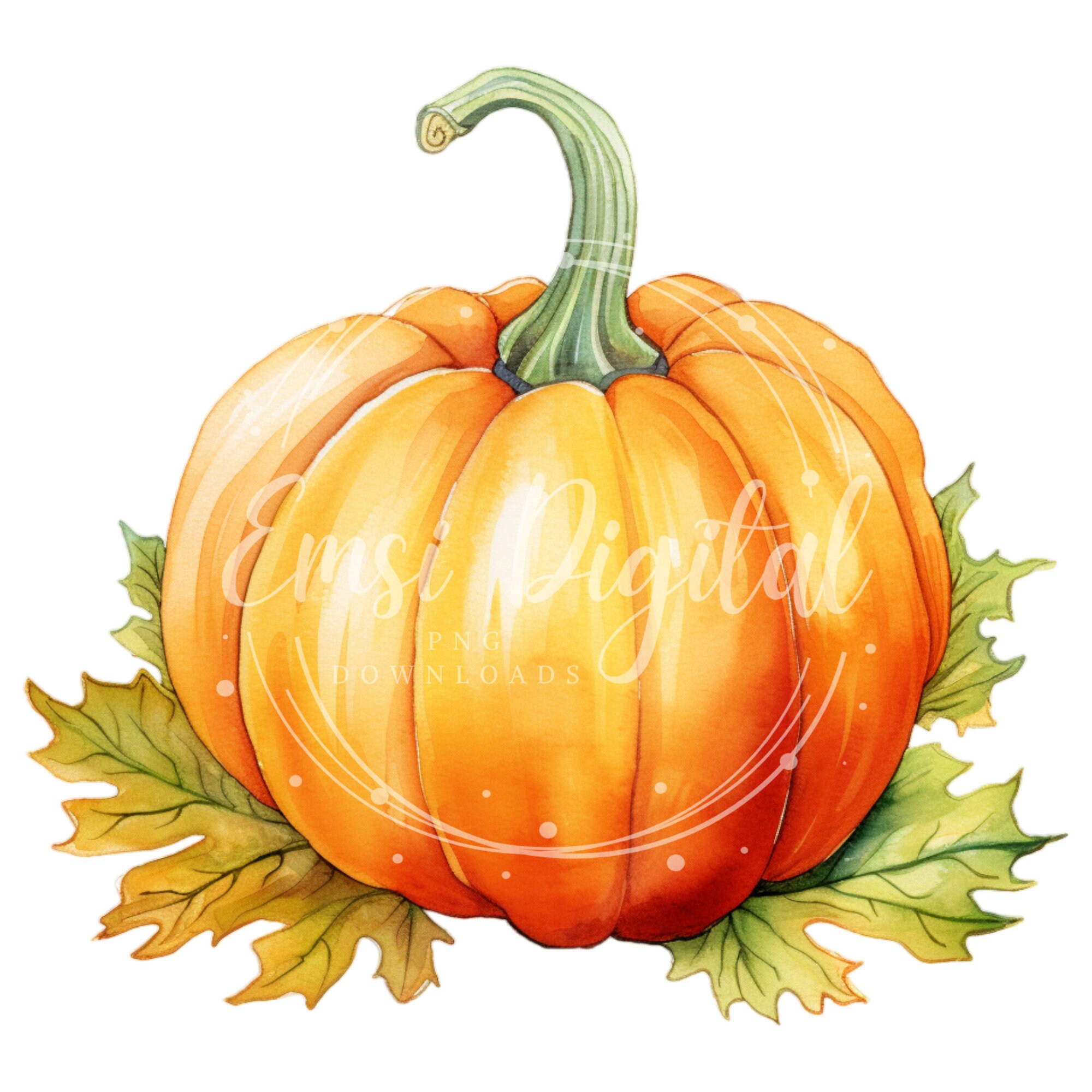 Vegetable Clipart Transparent PNG High-quality Watercolor - Etsy