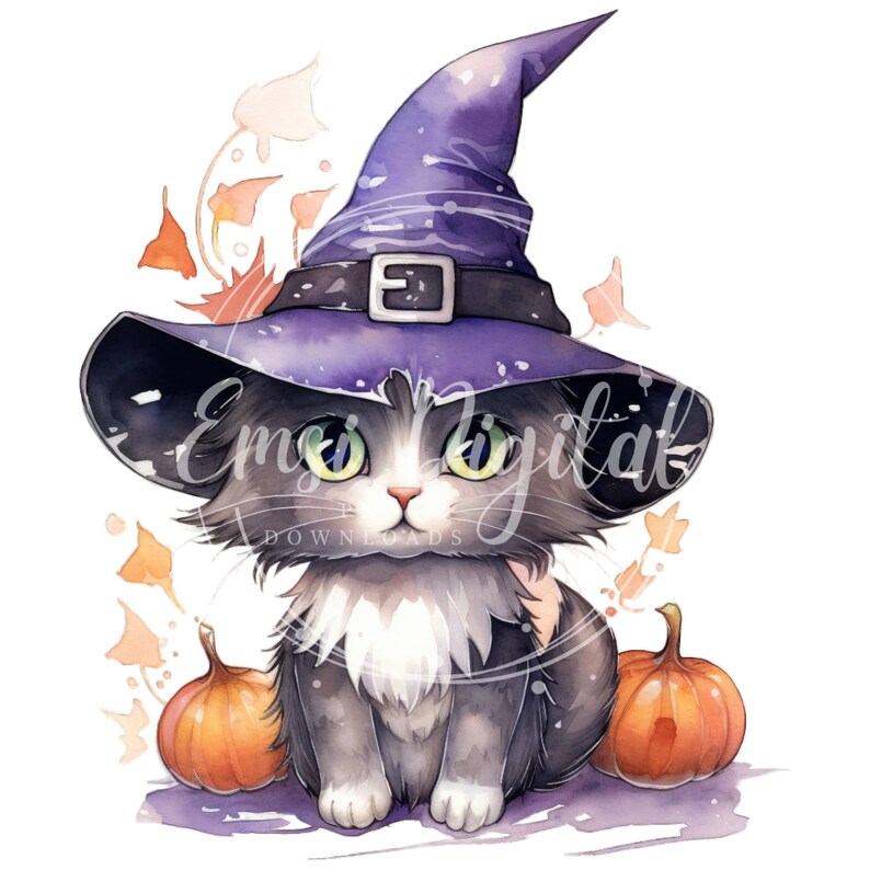 Halloween Witch Cat Clipart High-quality Transparent PNG - Etsy