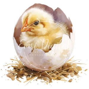 Baby Chick Clipart | High-quality Transparent PNG | Watercolor ...