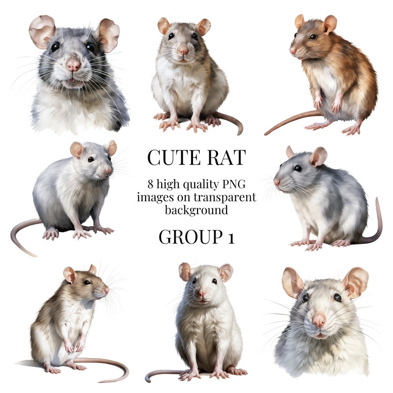 Rat Card - Etsy