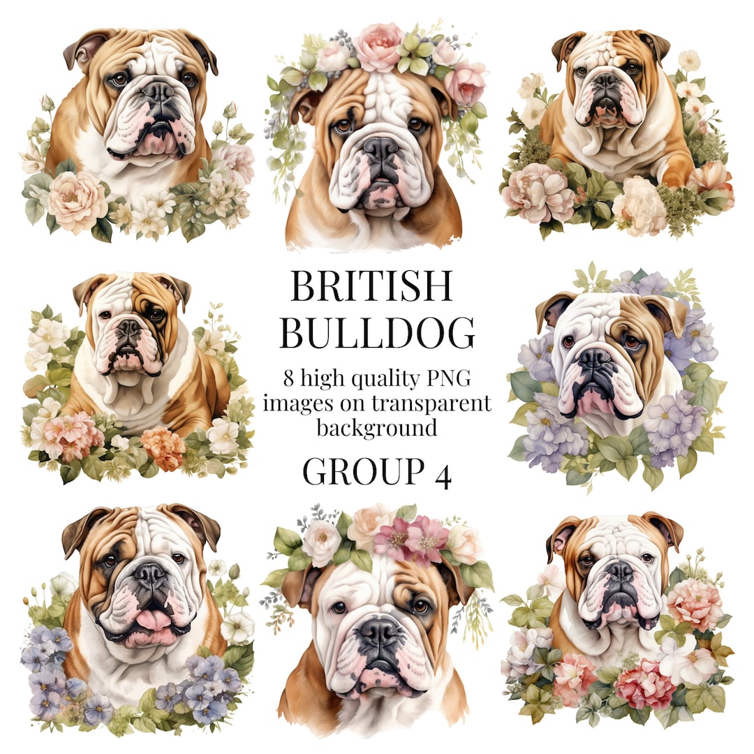 British Bulldog Clipart | High-quality Transparent PNG | Watercolor ...