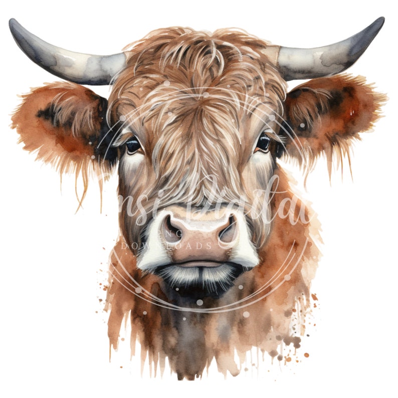 Highland Cattle Clipart High-quality Transparent PNG - Etsy